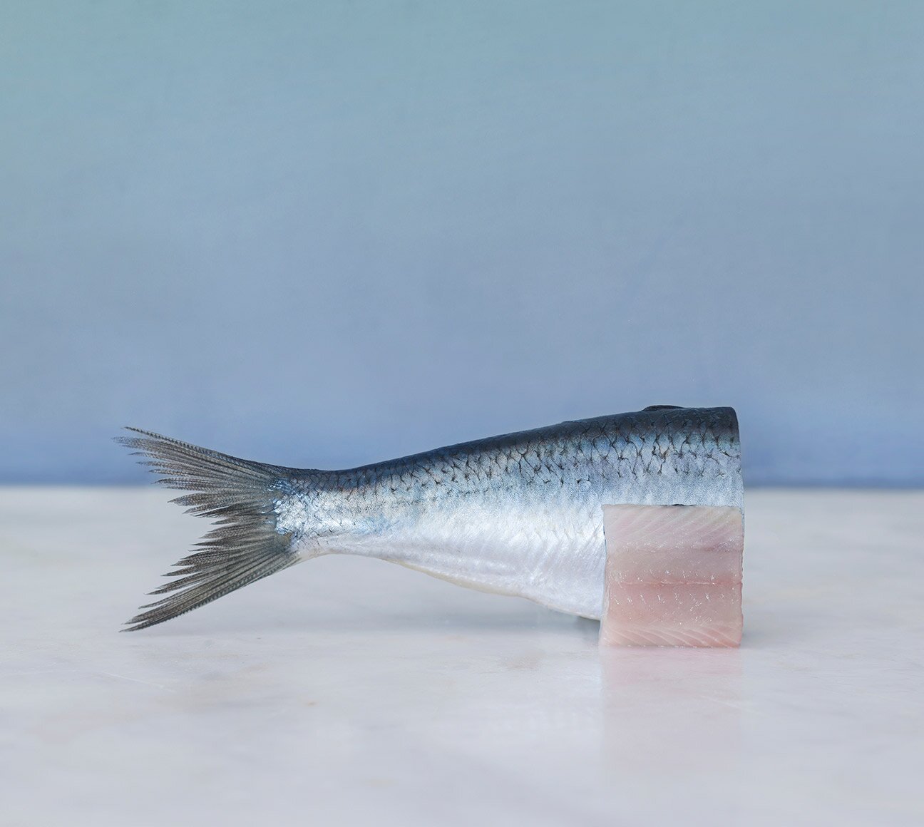 Hering | Seafood from Norway | Seafood from Norway